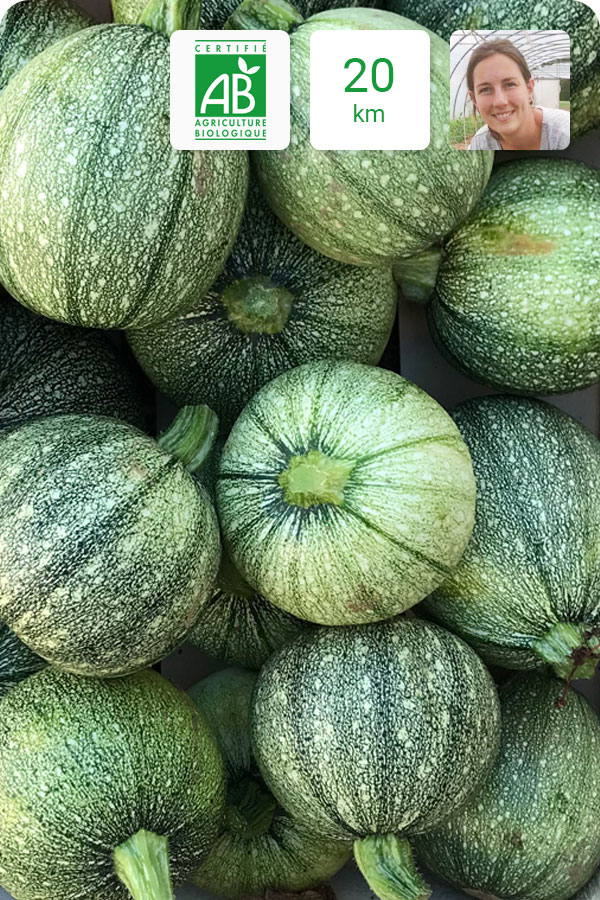 Courgette ronde bio ~ 350 g - Loiret - Lioca